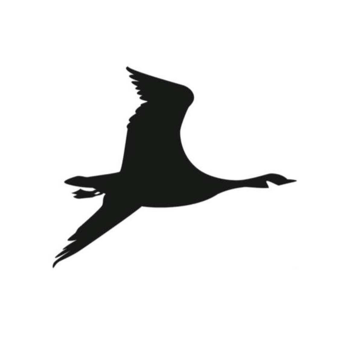 Home | Stray Goose Studio